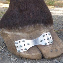 Hoof Brace with screws - The Barefoot Blacksmith