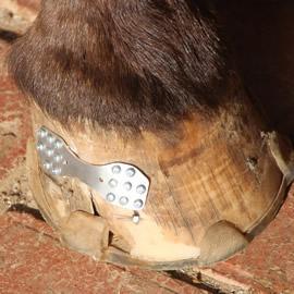 Tips, Hoof Braces 1 - The Barefoot Blacksmith